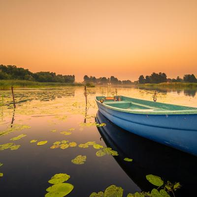 Boat Lily Water Lake reflection - KDE Store