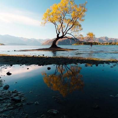 Amazing Autumn Tree 5k - KDE Store