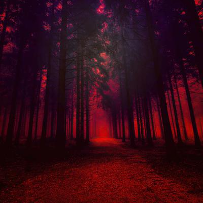 Blood Forest - KDE Store