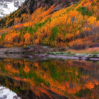 Fall Foliage Forest Lake Nature Reflection - KDE Store