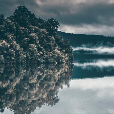 Trees River Fog Forest 5k - KDE Store