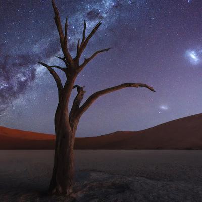 Tree Desert Milky Way 4k - KDE Store