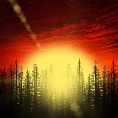 Forest Trees Abstract - KDE Store