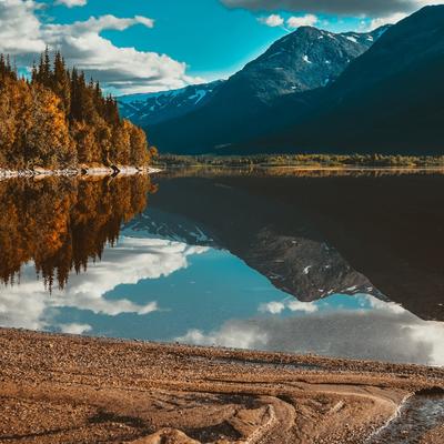 lake reflection pine forest - KDE Store