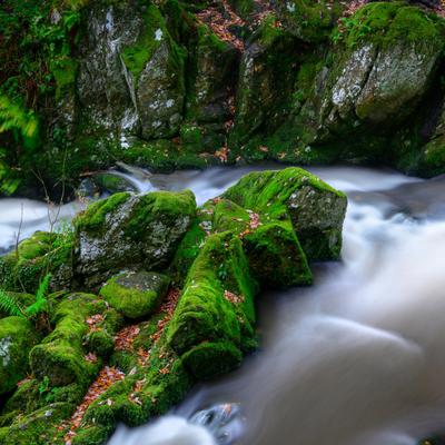 Stream green rocks moss forest wallpaper background - KDE Store