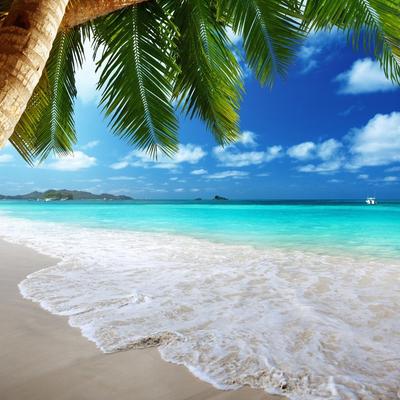 Amazing beach cloudy sky nature - KDE Store