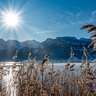 Amazing sunrays nature Wallpapers - KDE Store