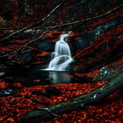 Autumn red leaves forest waterfall river water stream - KDE Store