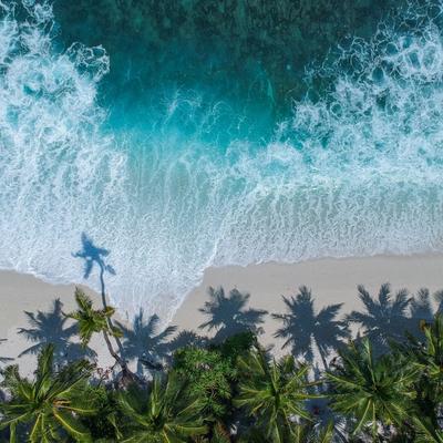 Beautiful beach aerial view palm trees sea wallpaper - KDE Store