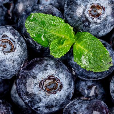 Blueberries berries green mint leaf close up wallpaper - KDE Store