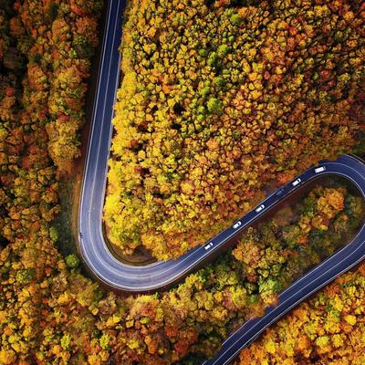 Highway turn forest autumn aerial view wallpaper - KDE Store