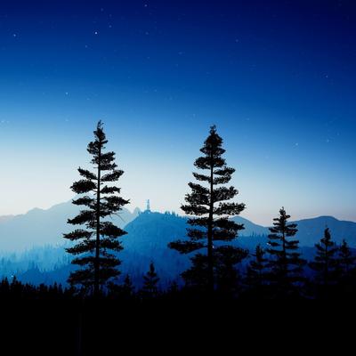 Night trees and mountains horizon Far Cry video game - KDE Store