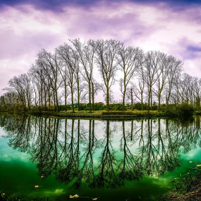 Trees lake reflections wallpaper background - KDE Store