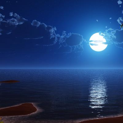 Tropical beach coast full moon night sky scenery digital - KDE Store