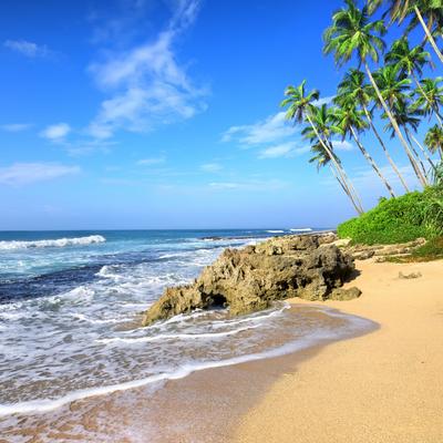 Beach sea waves tropical beach palm tree wallpaper - KDE Store