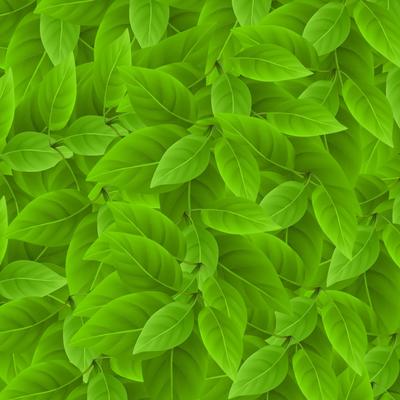 Leaf abstract digital art wallpaper background - KDE Store