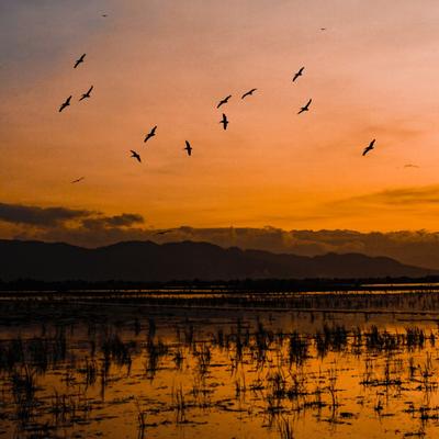 Sunset Reflection Full HD - KDE Store