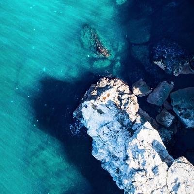 Tree Full HD - KDE Store