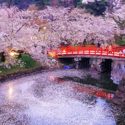 Red Bridge Over River During Daytime Full HD - KDE Store
