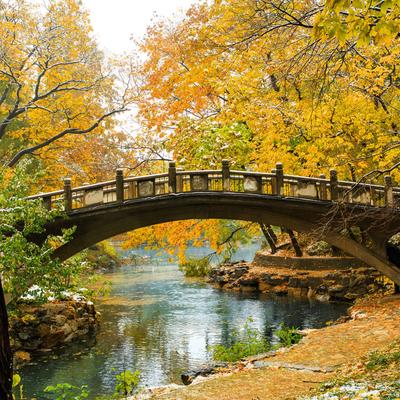 Paint The Autumn Garden - KDE Store