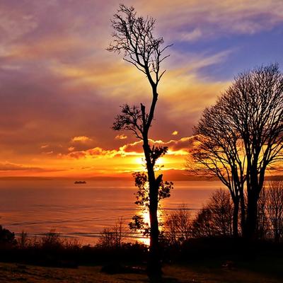 Sunset Blackout Lake Trees - KDE Store