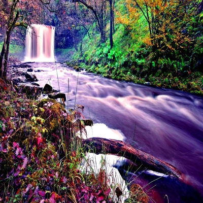 Forest River Falls - KDE Store