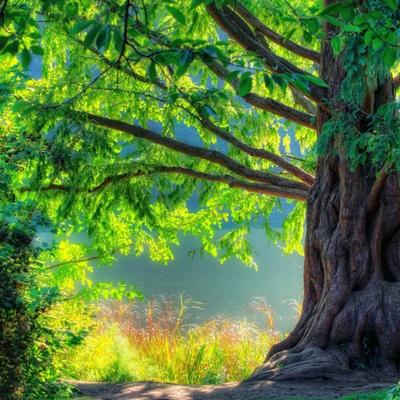 Beautiful Nature Spring - KDE Store