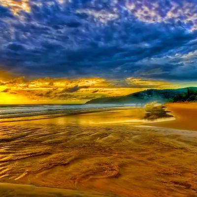 Golden sunset Seashore sandy beach - KDE Store
