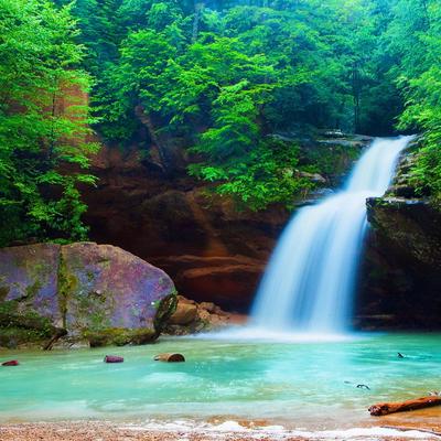 Forest Waterfall Wide Wallpaper - KDE Store