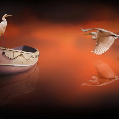 Egrets Lake Boat Red Sky Reflection - KDE Store