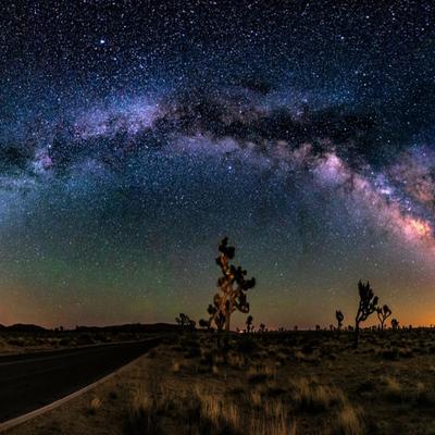 Desert Road Cactus Sunset Sky Star Wallpaper - KDE Store