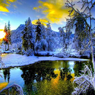 Snow Covered Trees and Mountain - KDE Store