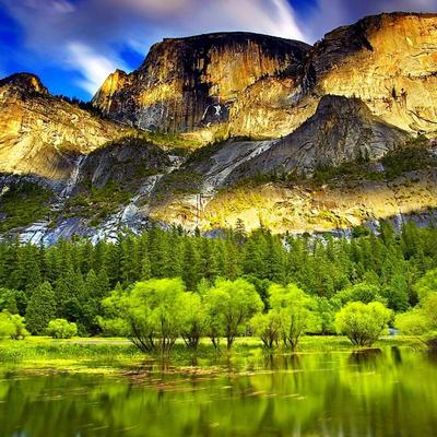 Mountain Spring Lake Pine Forest - KDE Store