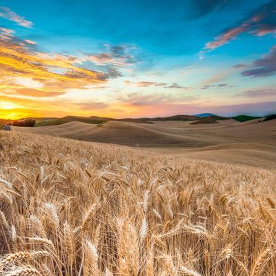 The Sky Rye Clouds - KDE Store