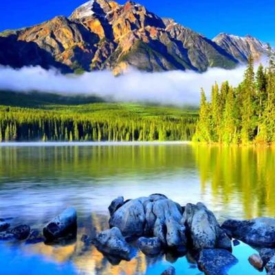 Lake Stone Pine Forest - KDE Store