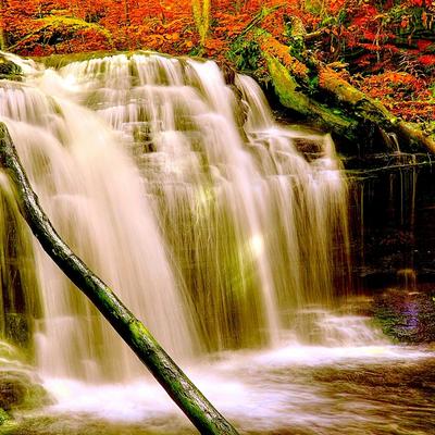 Autumn Forest Waterfall Nature - KDE Store