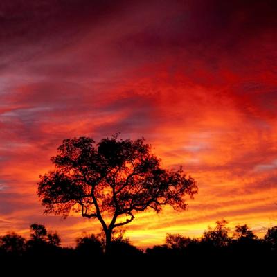 South Africa Savna Sky With Red Cloud Eclipse - KDE Store