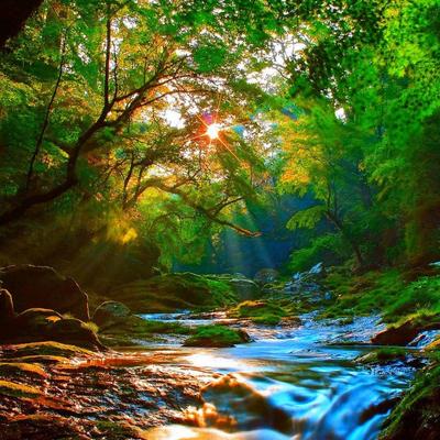 Sunlight Landscape Wallpaper - KDE Store