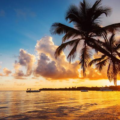 Tropical Beach - KDE Store