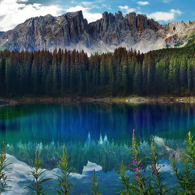 Landscape Lake Cvrkjinja Pine Forest - KDE Store