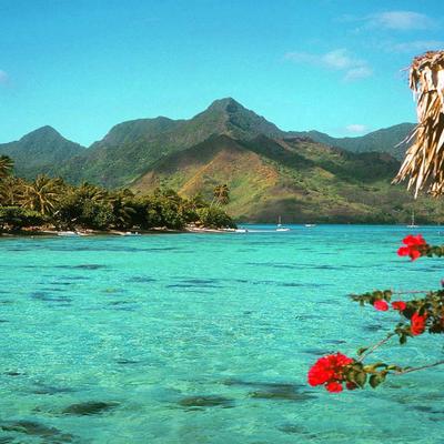 Desktop Background Tropical Beach - KDE Store