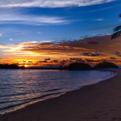 Sunset Sandy Beach Ocean Palm Orange Sky - KDE Store