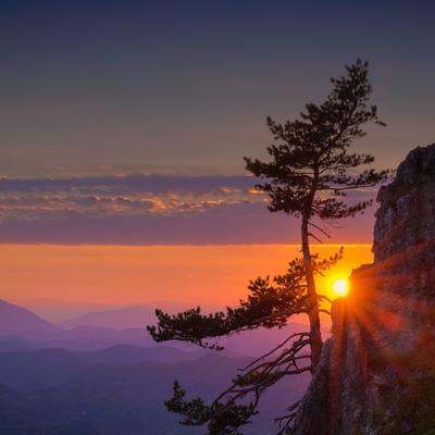 Green Trees on Mountain During Sunset Full HD - KDE Store