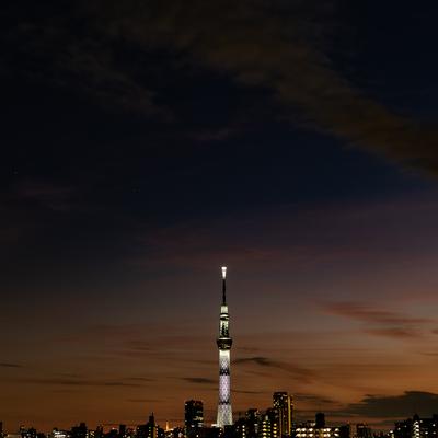 City Skyline Under White Clouds During Daytime Full HD - KDE Store