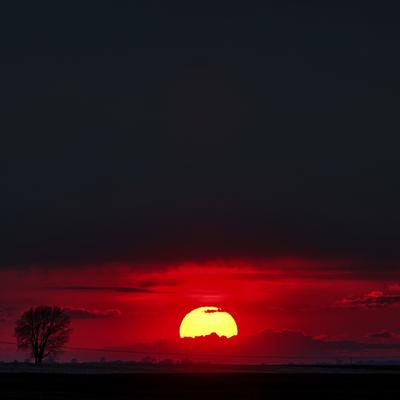 Silhouette of Trees During Sunset Full HD - KDE Store