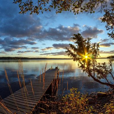Lake Wood Bridge Morning Rays Of The Sun Background - KDE Store