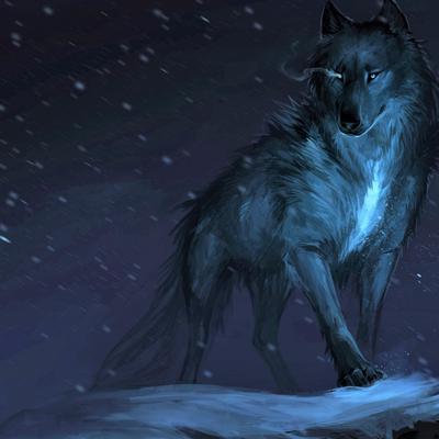 Black Wolf Full HD - KDE Store