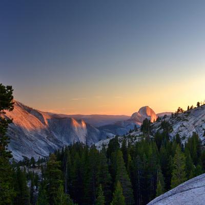 Green Pine Trees Near Brown Mountain - KDE Store
