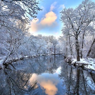 River Trees Snow Winter Reflection - KDE Store