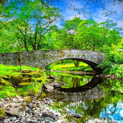 Summer Landscape - KDE Store